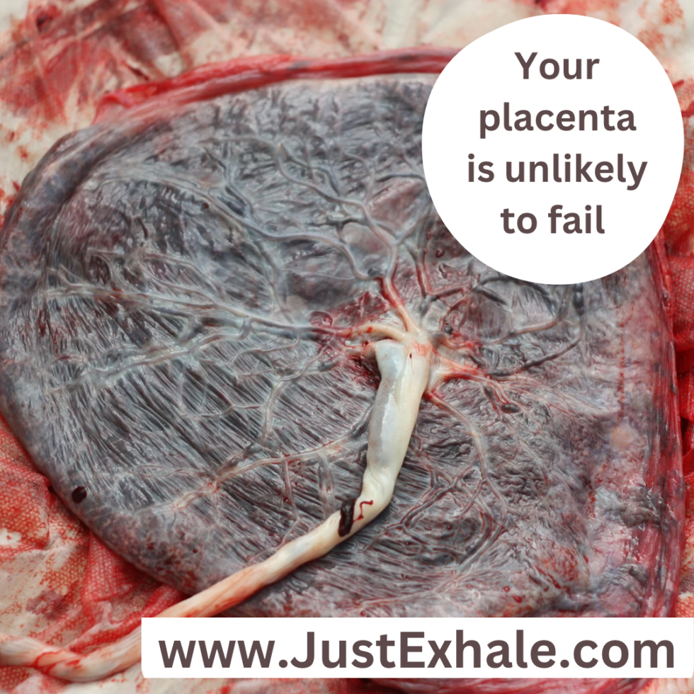 Your placenta is unlikely to fail - Just Exhale